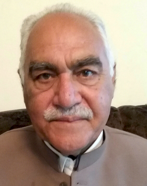 Dr Hayat – dev~consult